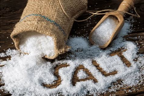 The Ultimate Guide To Choosing The Best Salt For Pickling Pickle Anything