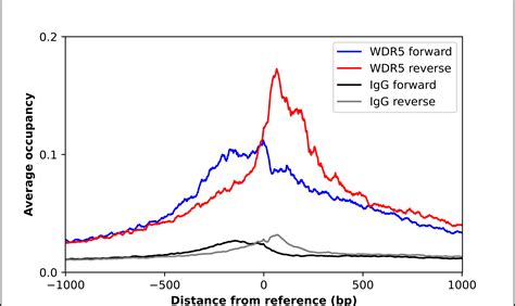 Rabbit Polyclonal Anti Wdr5 Antibody Buy For Research Highly