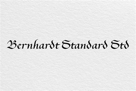 Bernhardt Standard Std Picsart Blog
