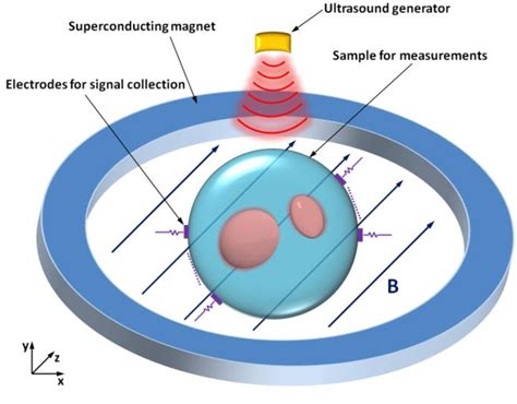 Configuration Of Superconducting Lorentz Force Electrical Impedance Download Scientific Diagram