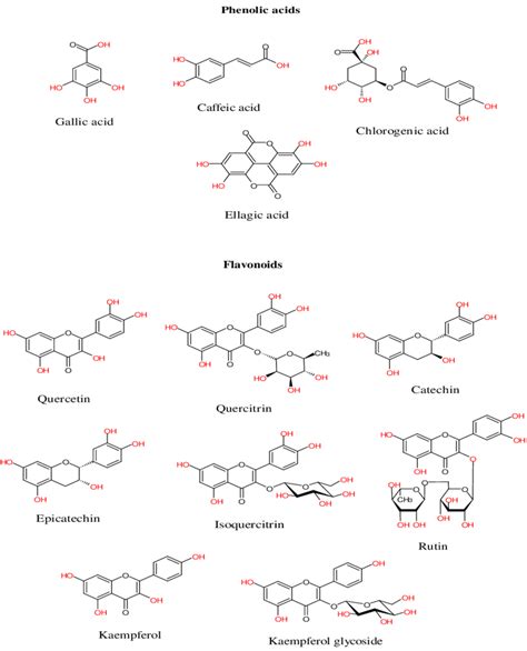 Chemical Structures Of The Phenolic Compounds Present In The Extract
