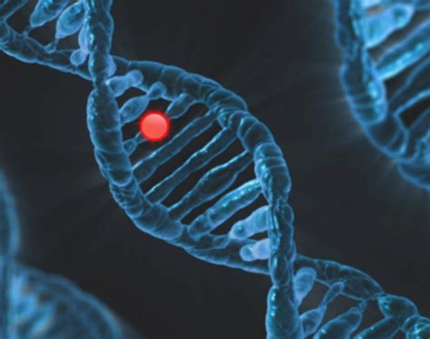 고대 Dna 분석ancient Dna Analysis 과거를 푸는 유전학의 열쇠