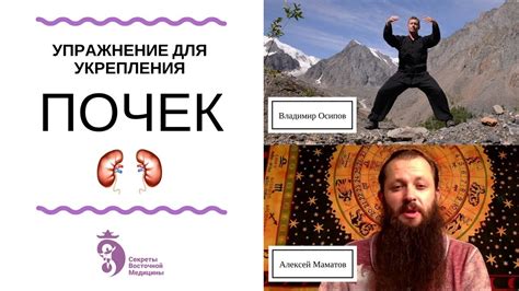 Упражнение для укрепления почек интервью для Алексея Маматова Youtube