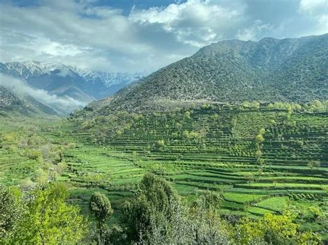 ریاست عمومیnational Directorate Of Security ریاست عمومی امنیت ملی