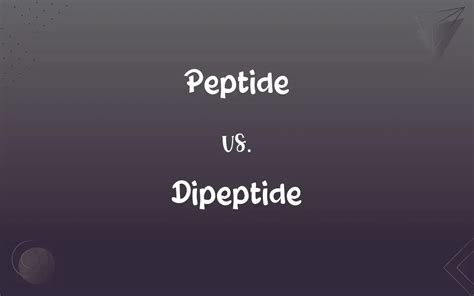 Peptide Vs Dipeptide Whats The Difference