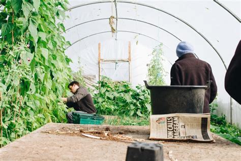 Greenhouse Monitoring System Uses Wireless Temperature Loggers Cas