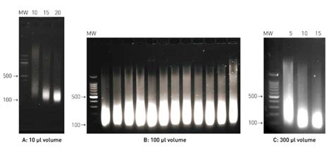 Bioruptor® Sonication Device For Chromatin Dna Rna Shearing Cell And Tissue Disruption