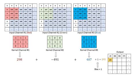 Convolutional Neural Networks Cnns Ai Image Recognition Process