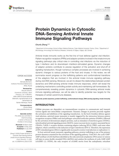 Pdf Protein Dynamics In Cytosolic Dna Sensing Antiviral Innate Immune