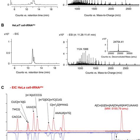 The Chromatogram Mass Spectrum And Deconvoluted Mass Spectrum Of Download Scientific Diagram