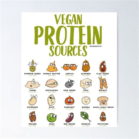 Vegan Protein Sources Chart