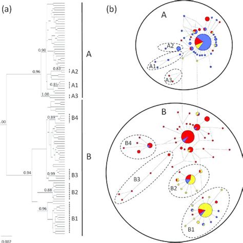 Sampling Sites Of Ixodes Ricinus Locations Given As Black Dots Pie