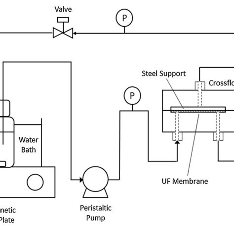 Enzymatic Membrane Reactor Configuration Download Scientific Diagram