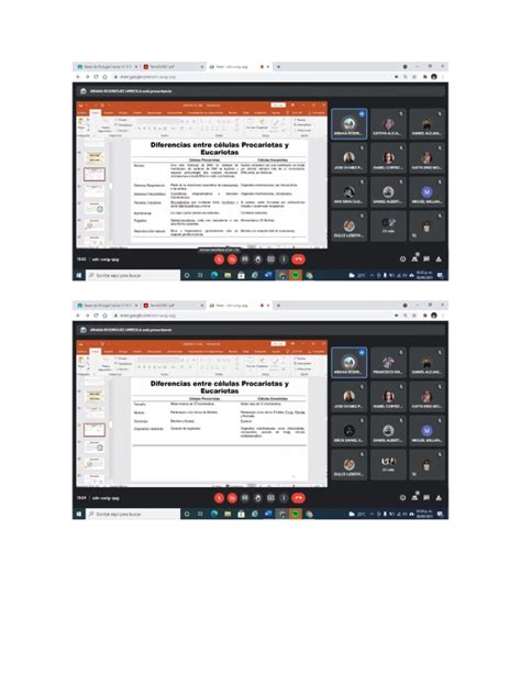 Diferencia Entre Procariotas Y Eucariotas Pdf