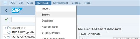 SAP ABAP Central Resolve Annoying Self Signed SSL Certificate Issue On ABAP Developer