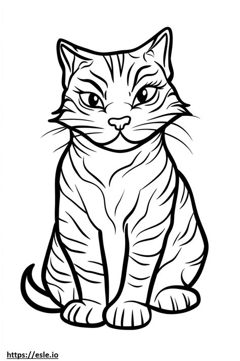 Vctoria Secret Models Kim Smith Beautifull Pictures