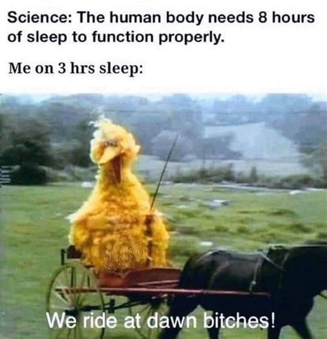 Yessir Meme By Slatermchogan22 Memedroid