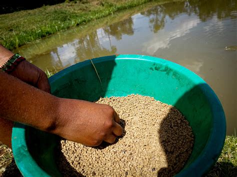 Biodiversity Gains And Losses The River Yala Basin Now Photostory Infonile