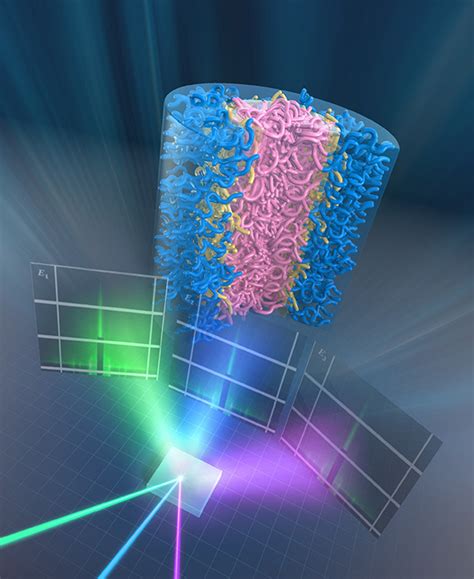 Scientific Cover Picture Illustration Services Macromolecules January Volume Issue