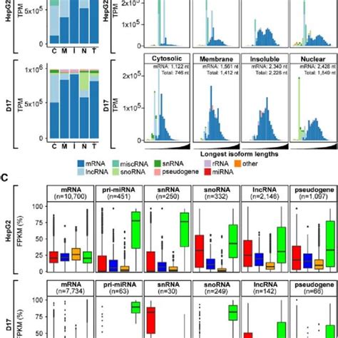 Distinctive Transcript Composition Of Subcellular Fractions In Download Scientific Diagram