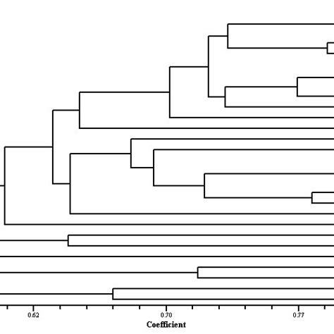 Upgma Dendrogram Showing Genetic Relationships Among The 28 Populations