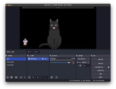 OBS Mac에 대한 VTube Studio 설정 달이 뜨는 밤에