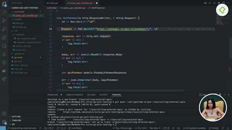 curso de unit testing en go platzi