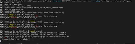 EAL Failed To Parse Device Vdev Net Pcap Rx Core Capture For Tuples