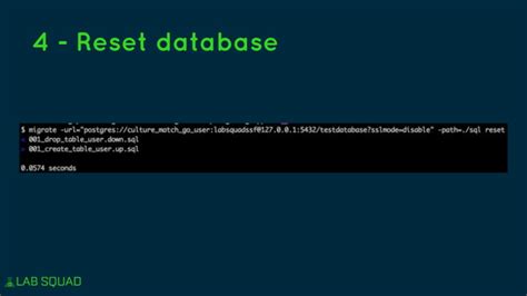 Database Versioning In Golang Pptx Databases Computer Software