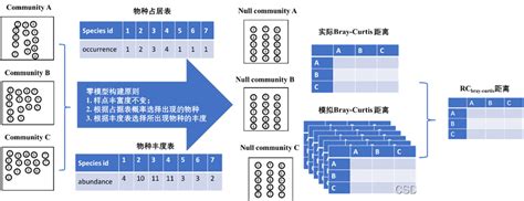 R语言并行计算rc~bray Curtis~距离rc距离计算群落的确定性和随机性 Csdn博客