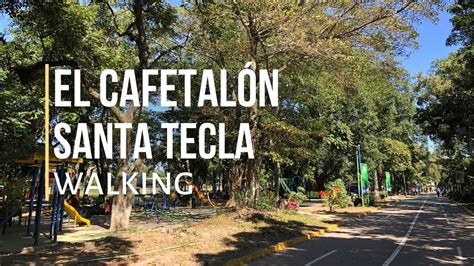 Walking El Cafetalón Of Santa Tecla El Salvador 2021 Youtube