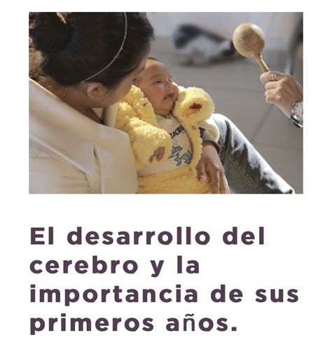 El desarrollo del cerebro y la importancia los primeros años de vida