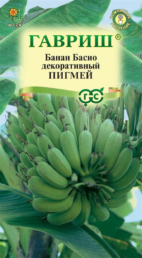 Семена Банан Басио декоративный Пигмей, 3шт, Гавриш, Цветочная ...
