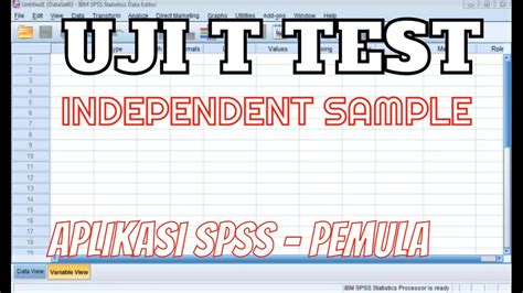 Tutorial Uji T Test Sample Independent Aplikasi Spss Youtube