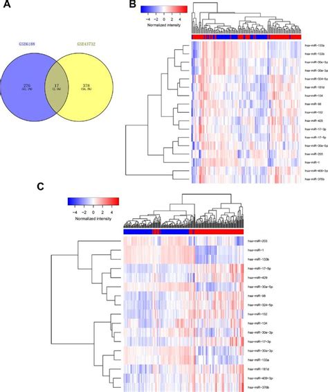 Determination Of Differentially Expressed Mirnas We Analyzed Data Of Download Scientific