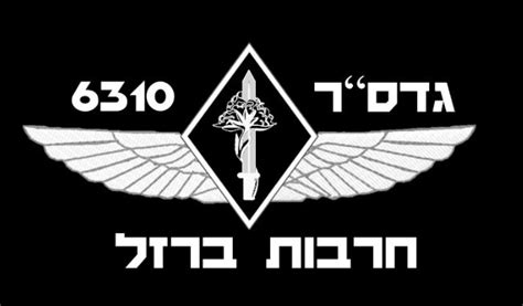 מסייעת גדס"ר 6310