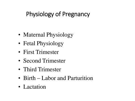 Solution Physiology Of Pregnancy Studypool