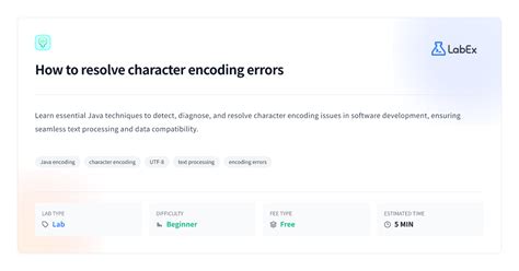 How To Resolve Character Encoding Errors Labex