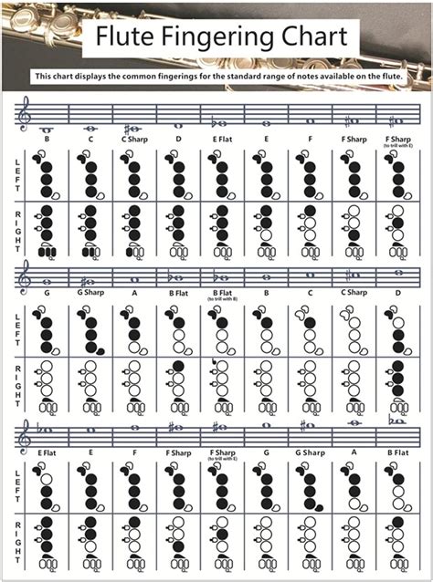 Flute Fingering Chart Basic Flute Fingering Chart Fingering Practice White Durable Chord Chart