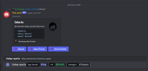 Create A Discord Bot For You By Burakbilgin430 Fiverr