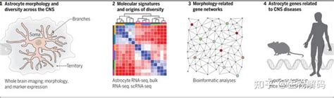 每日文摘 2022年11月05日 知乎