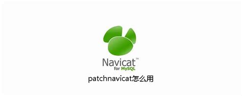 how to use patchnavicat navicat php cn