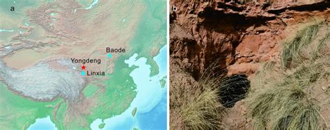 A Location Of Yongdeng And Two Other Localities With Abundant