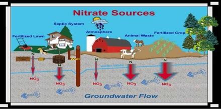 About Nitrate Assignment Point