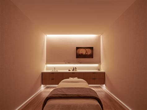 Inside BiÂn Chicagos Elite Members Only Wellness Club Newbeauty