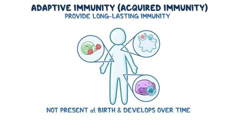 Adaptive Immunity Video Causes And Meaning Osmosis