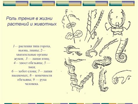 Трение Блиц опрос презентация онлайн