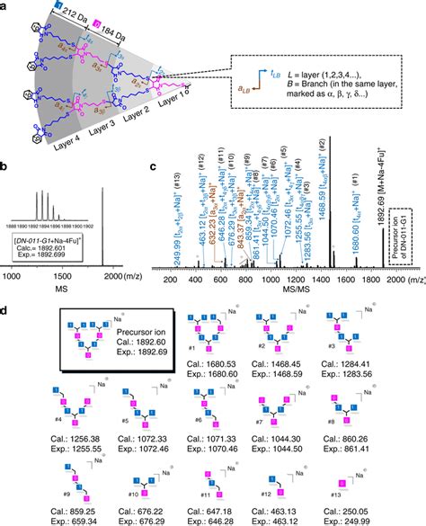 Msms Decoding Digital Dendrimer Dn 011 G1 A Illustration Of The Download Scientific Diagram