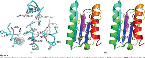 Figure 4 From Structural Biology And Crystallization Communications Structure Of An Essential
