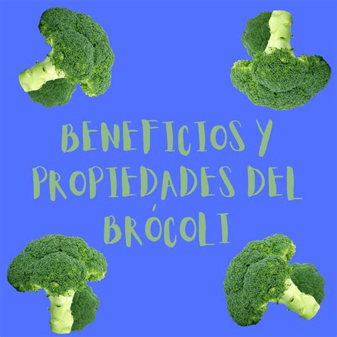 Beneficios Y Propiedades Clínica Biohormona Cd México